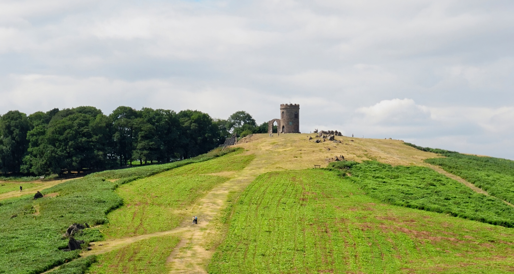Discovering Charnia - Charnwood Forest Geopark