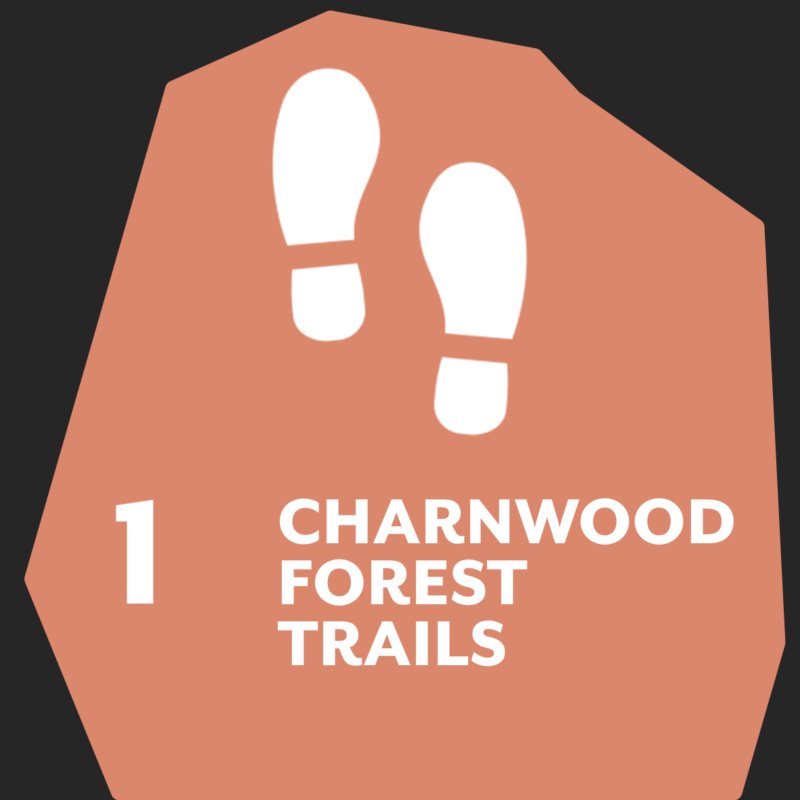 Charnwood Forest Trails - Charnwood Forest Geopark