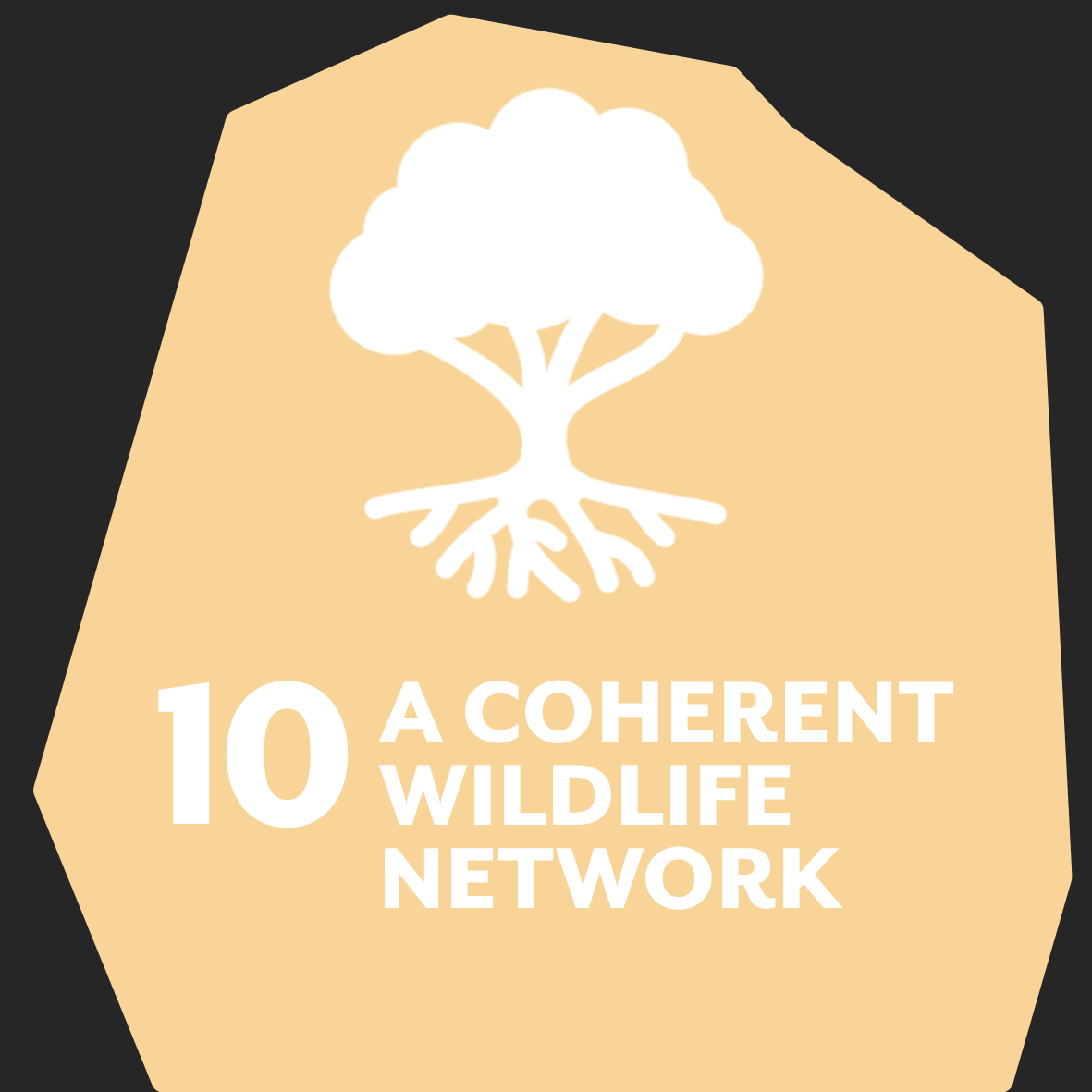 A Coherent Wildlife Network - Charnwood Forest Geopark