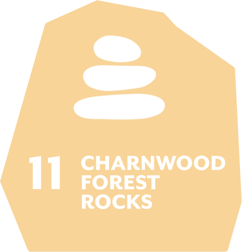 Charnwood Forest Rocks - Charnwood Forest Geopark