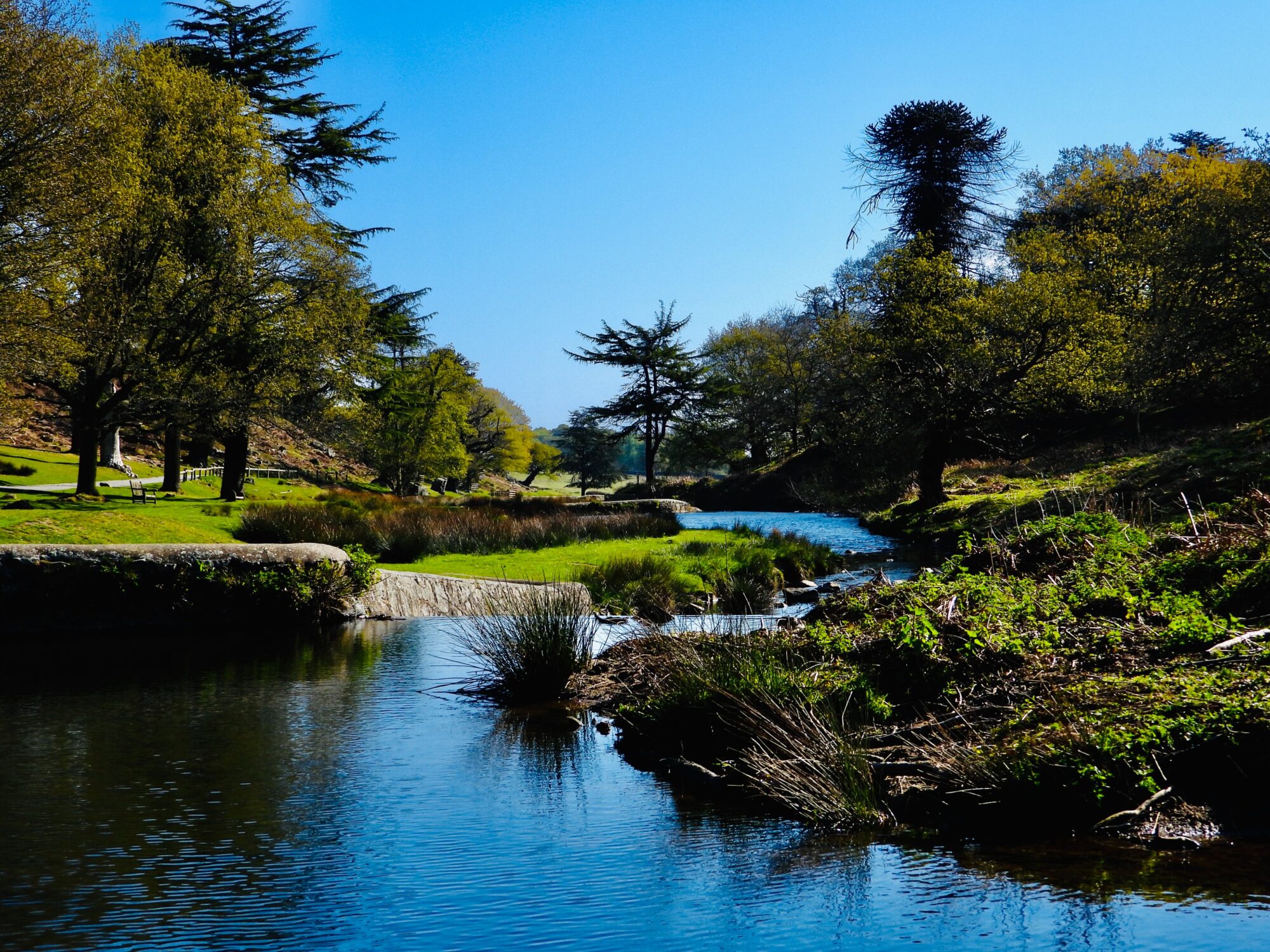 Explore - Charnwood Forest Geopark
