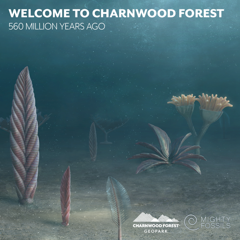 Recreating the Fossils of Charnwood Forest - Charnwood Forest Geopark