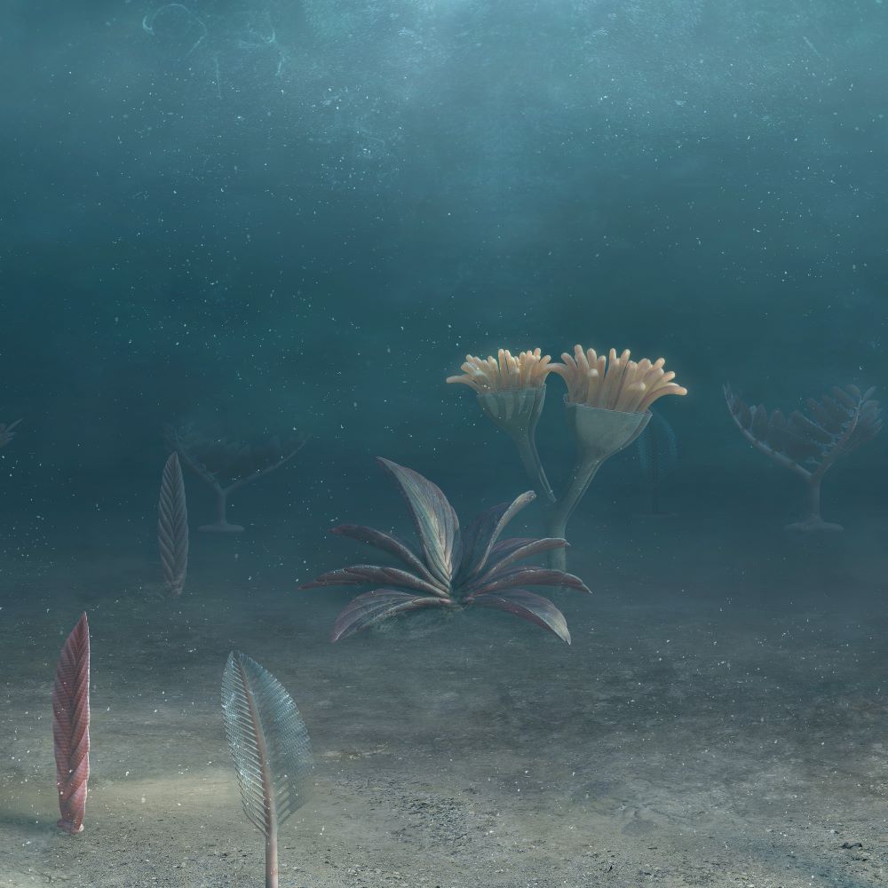 Discovering Charnia - Charnwood Forest Geopark