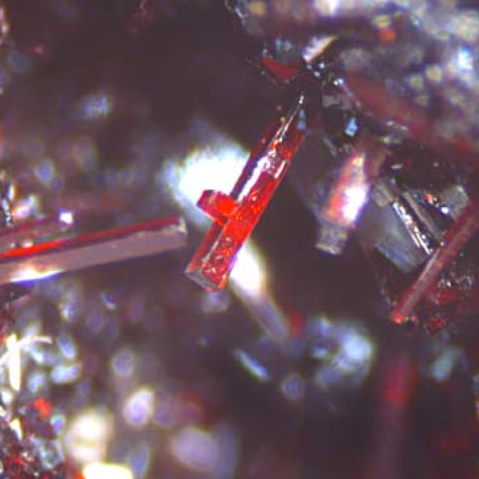 Our Geodiversity - Charnwood Forest Geopark