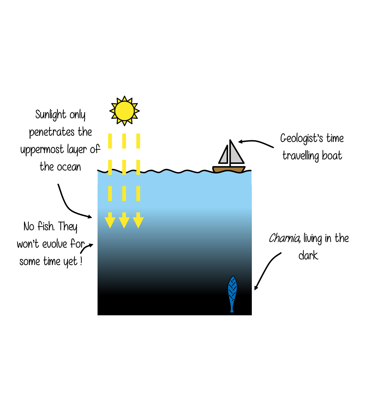Discovering Charnia - Charnwood Forest Geopark
