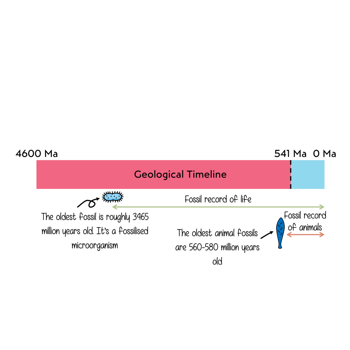 Discovering Charnia - Charnwood Forest Geopark