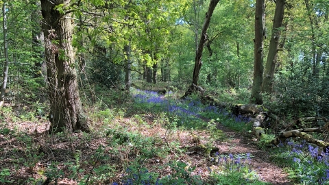 Where to Visit - Charnwood Forest Geopark